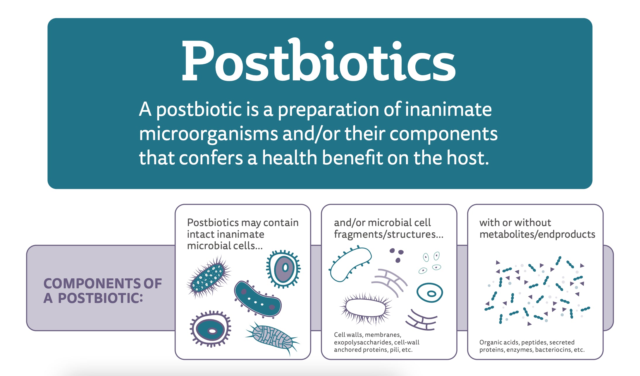 Understanding Postbiotics: The Hidden Heroes of Gut Health – Nourished ...